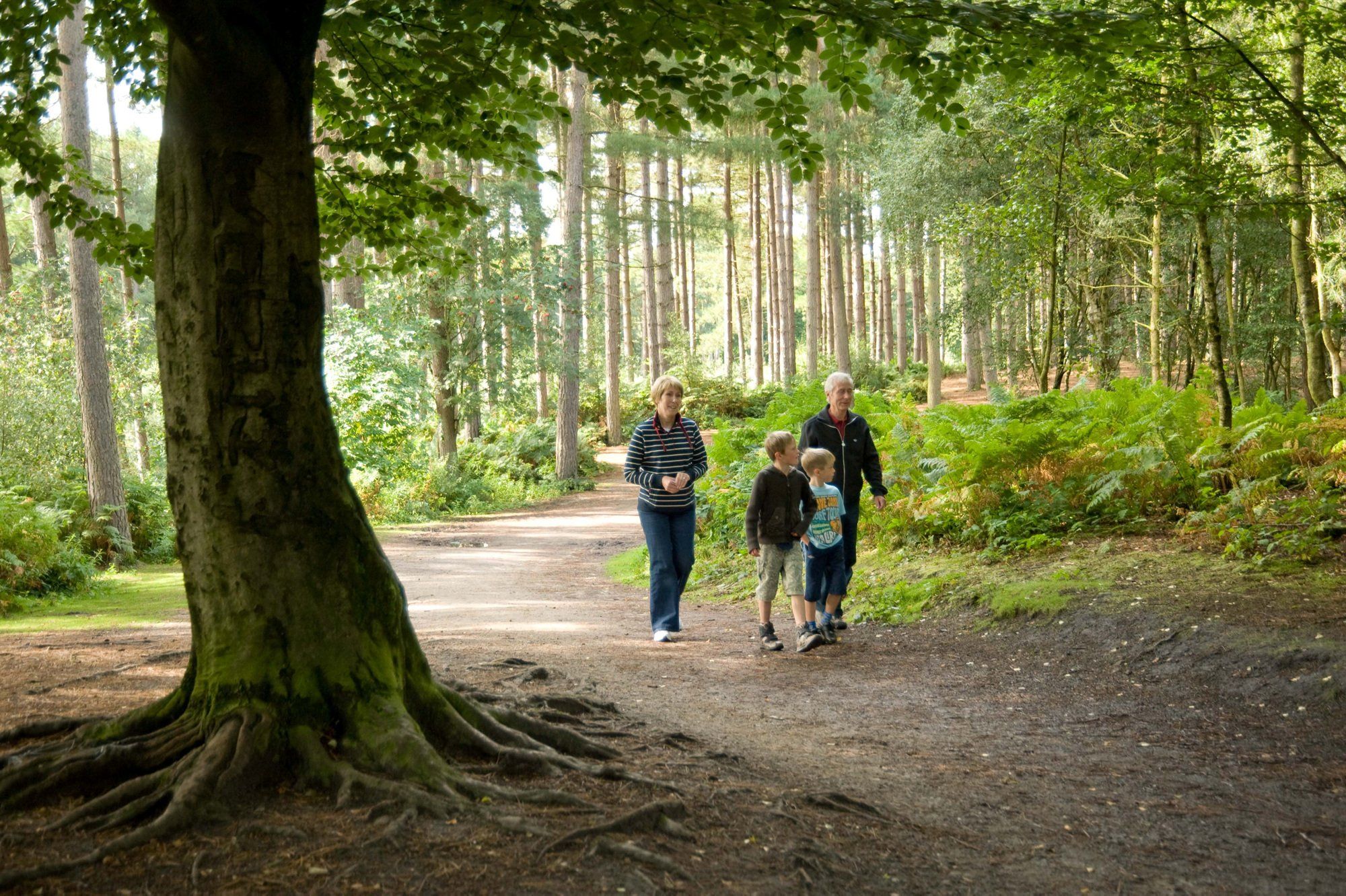 A Sustainable Visitor Hub in Delamere Forest | Forest Holidays