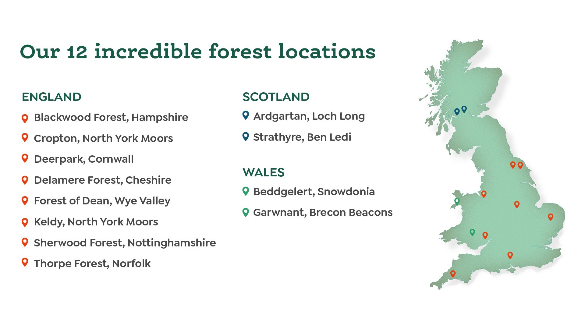 Learn More About Us | Forest Holidays