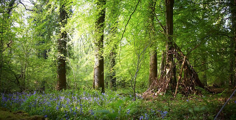 10 reasons why being outdoors is a big deal