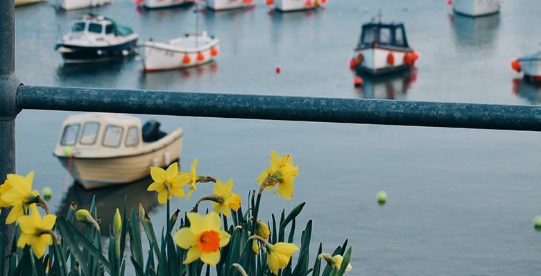 10 Reasons To Visit Cornwall in Winter