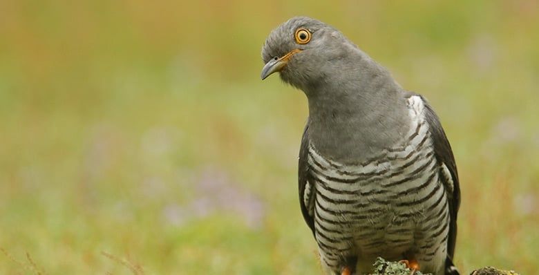 15 Signs That Spring is Here