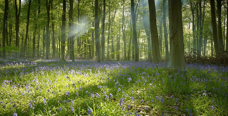 15 Signs That Spring is Here