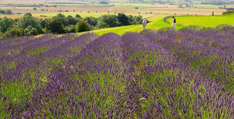 6 spectacular views to see in North Yorkshire