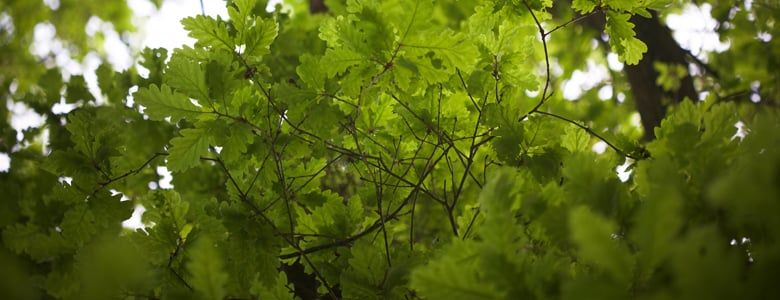 7 of Britain's Best Kept Secret Tourist Attractions for Families