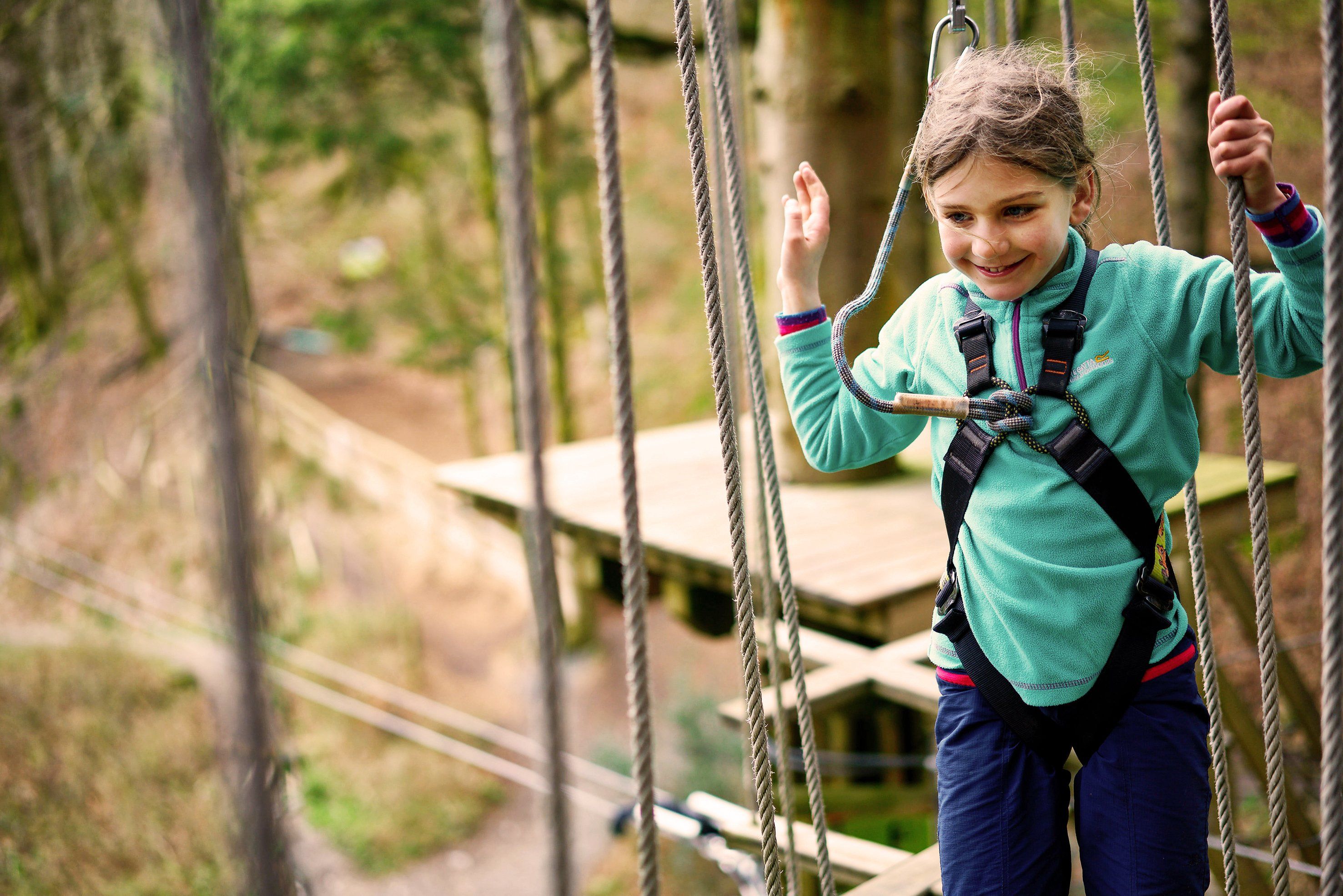 Awaken Your Senses At Go Ape | Forest Holidays