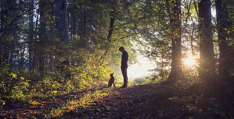 Dog Walks Cornwall: The Best Places For a Pawfect Adventure