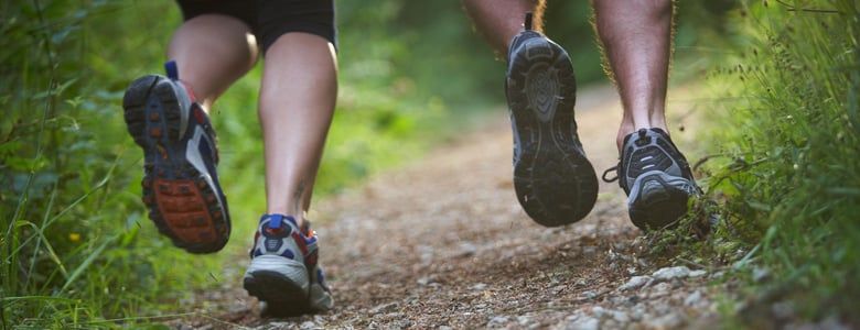 Get fit in the Forest