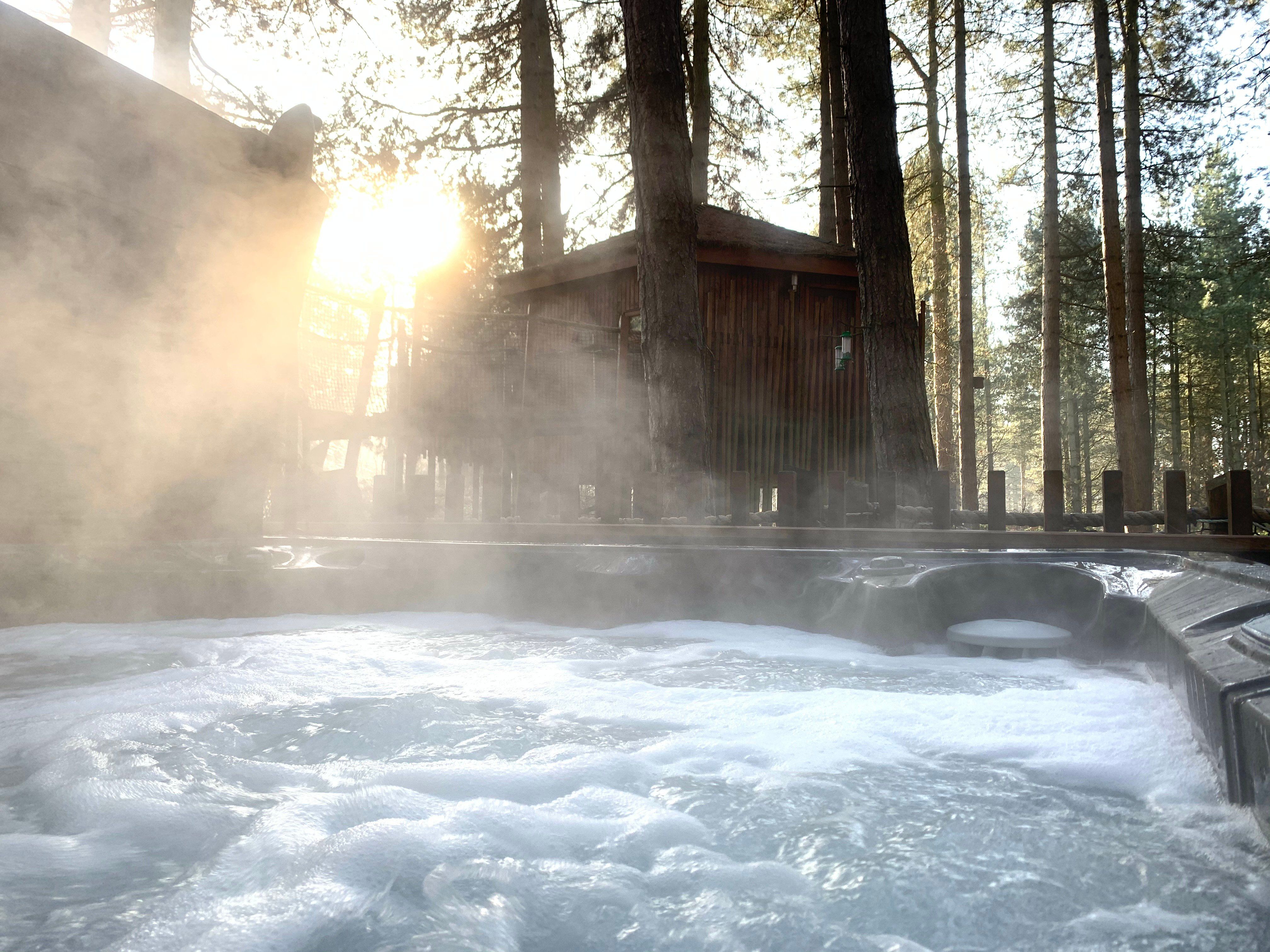 Get Your Nature Fix On A Forest Holiday | Forest Holidays