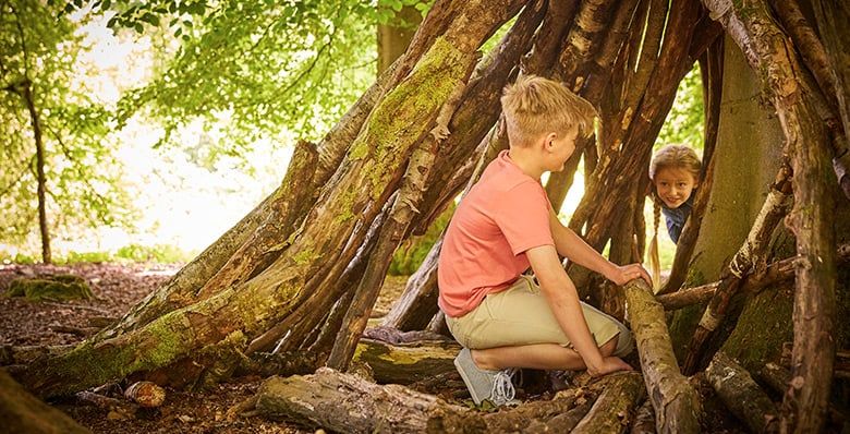 How to Build the Ultimate Forest Den