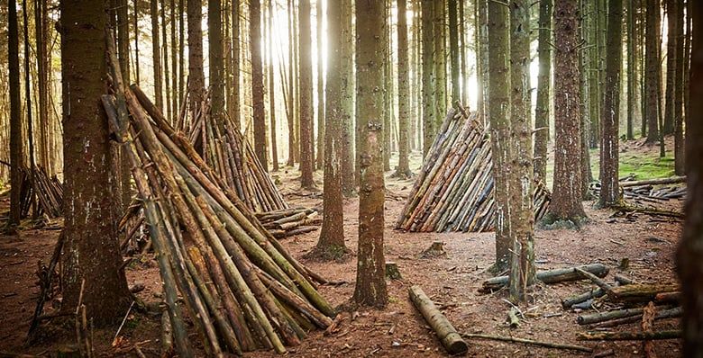 How to Build the Ultimate Forest Den