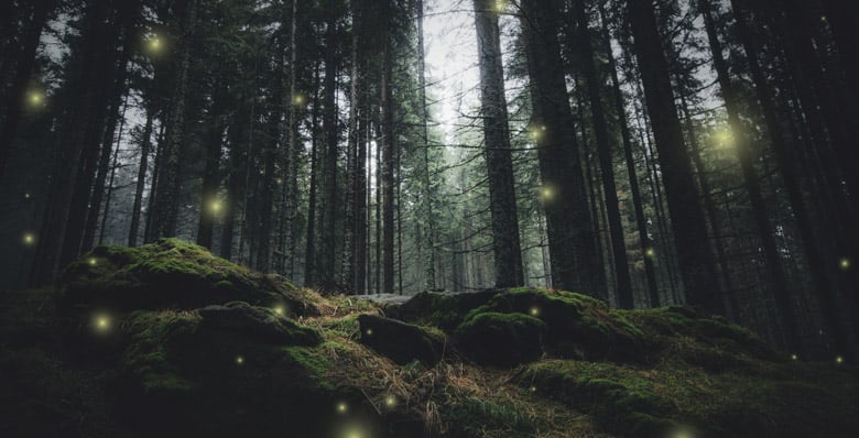 How to celebrate the Summer Solstice