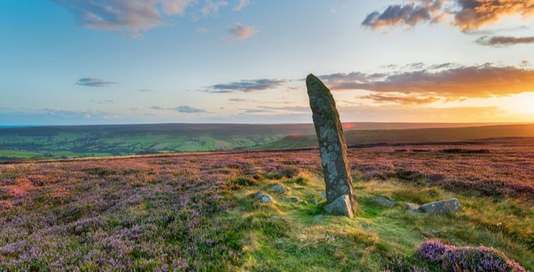 Walking in Pickering: 5 Trails you will love