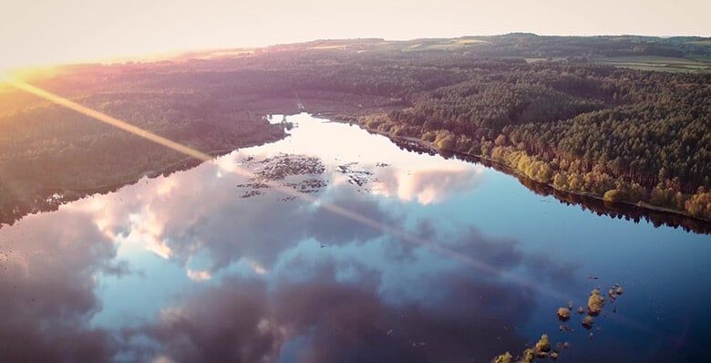 Reconnect With Nature In Delamere Forest